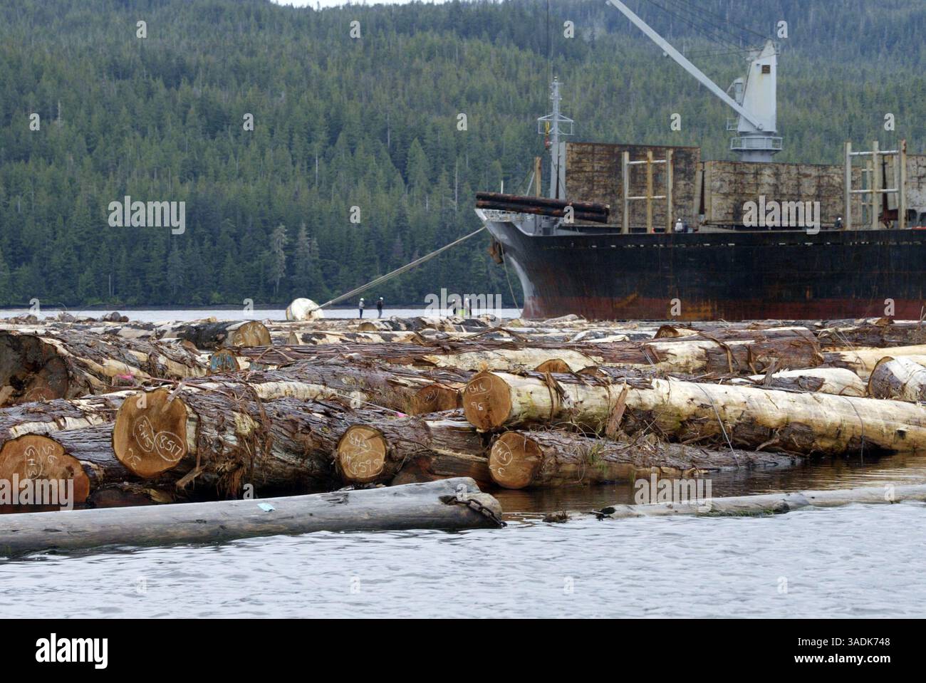 Sep 10, 2004; Tongass National Park, AK, USA; Logging in Tongass ...