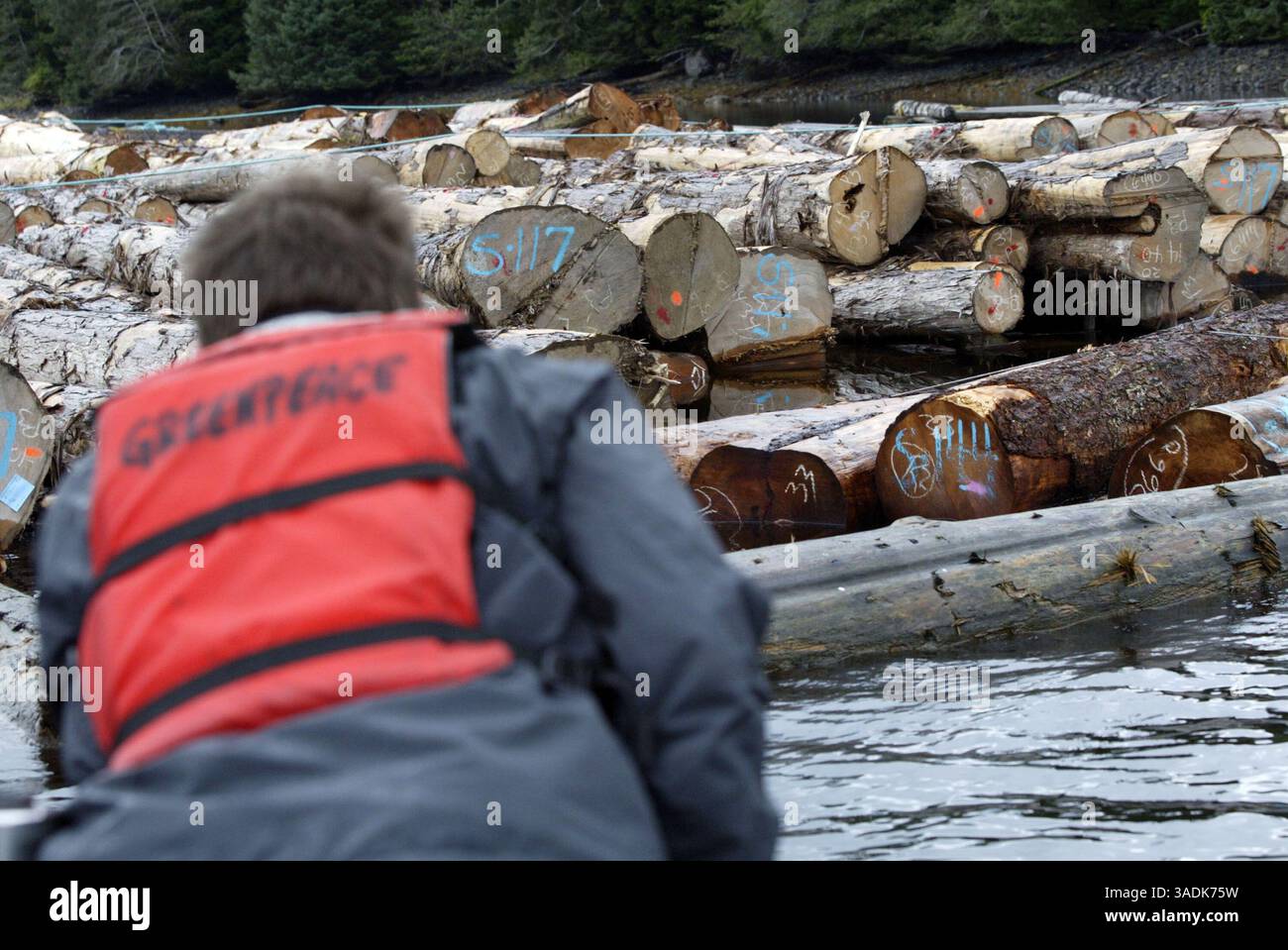 Sep 10, 2004; Tongass National Park, AK, USA; Logging in Tongass ...