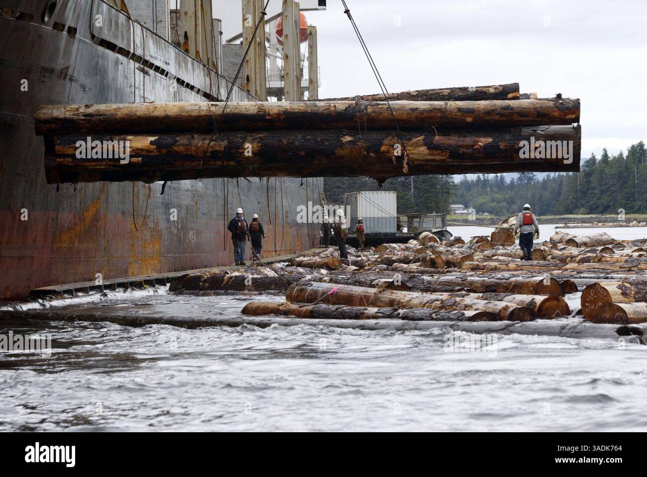 Sep 10, 2004; Tongass National Park, AK, USA; Logging in Tongass ...