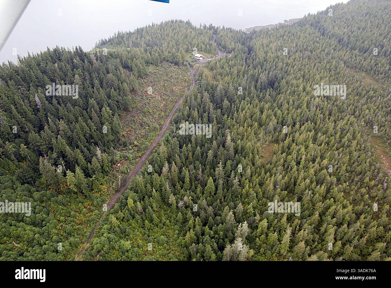 Sep 04, 2004; Tongass National Forest, AK, USA; Logging in Tongass ...