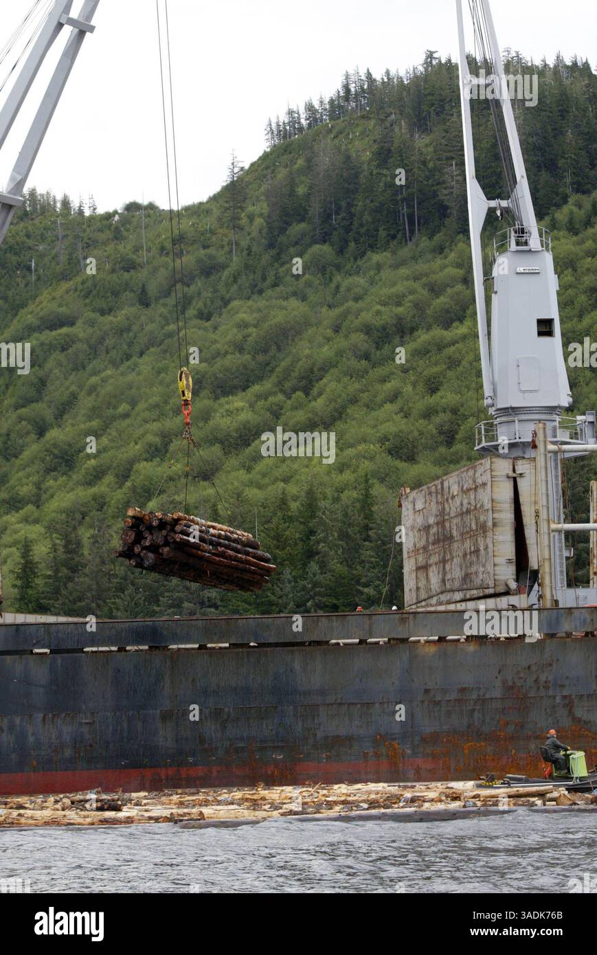 Sep 10, 2004; Tongass National Park, AK, USA; Logging in Tongass ...