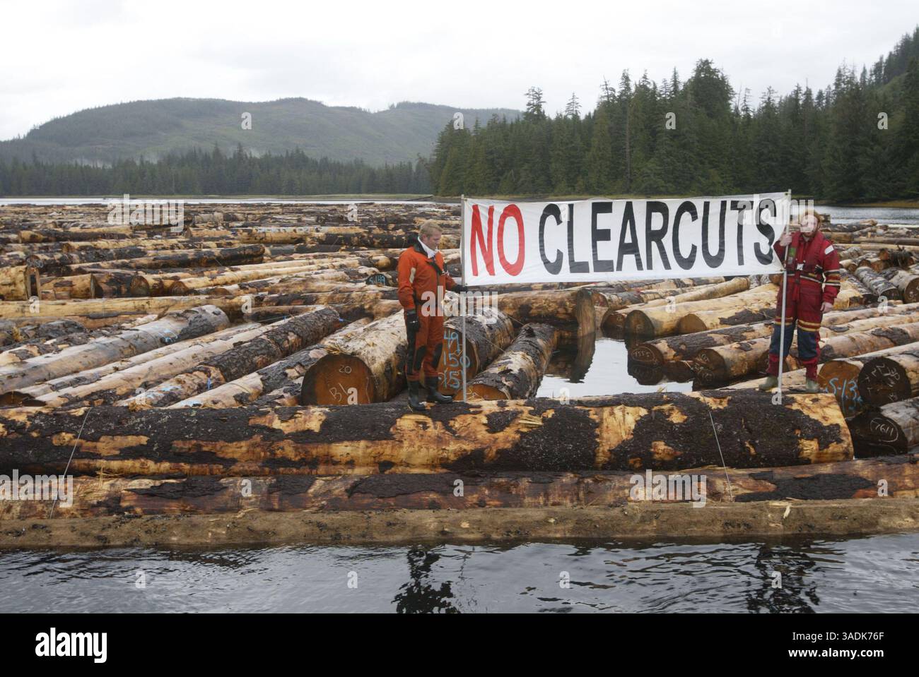 Sep 10, 2004; Tongass National Park, AK, USA; Logging in Tongass ...