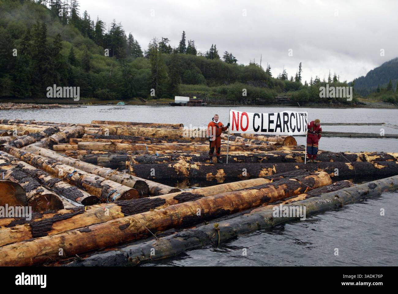 Sep 10, 2004; Tongass National Park, AK, USA; Logging in Tongass ...