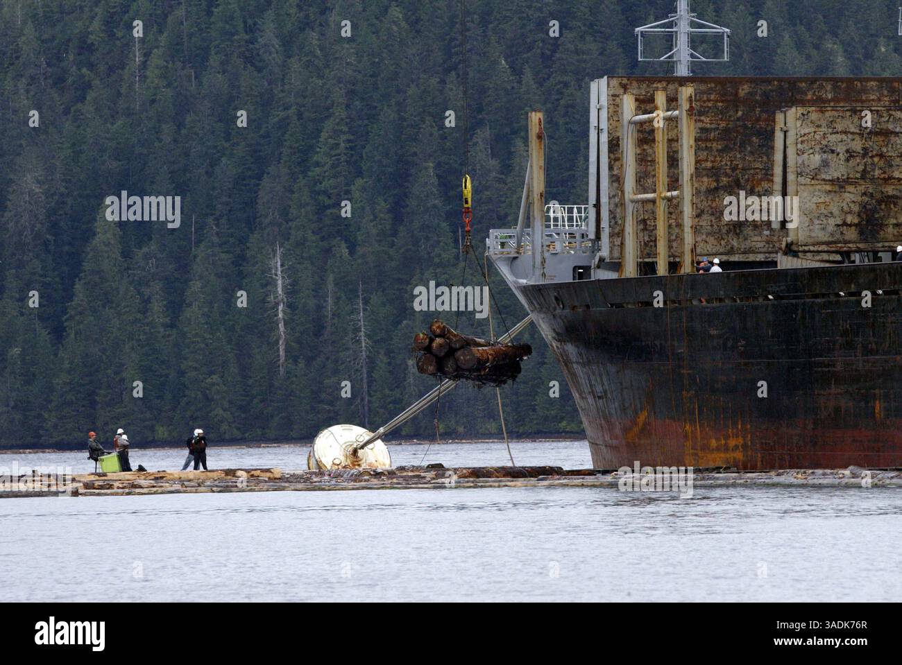 Sep 04, 2004; Tongass National Forest, AK, USA; Logging in Tongass ...