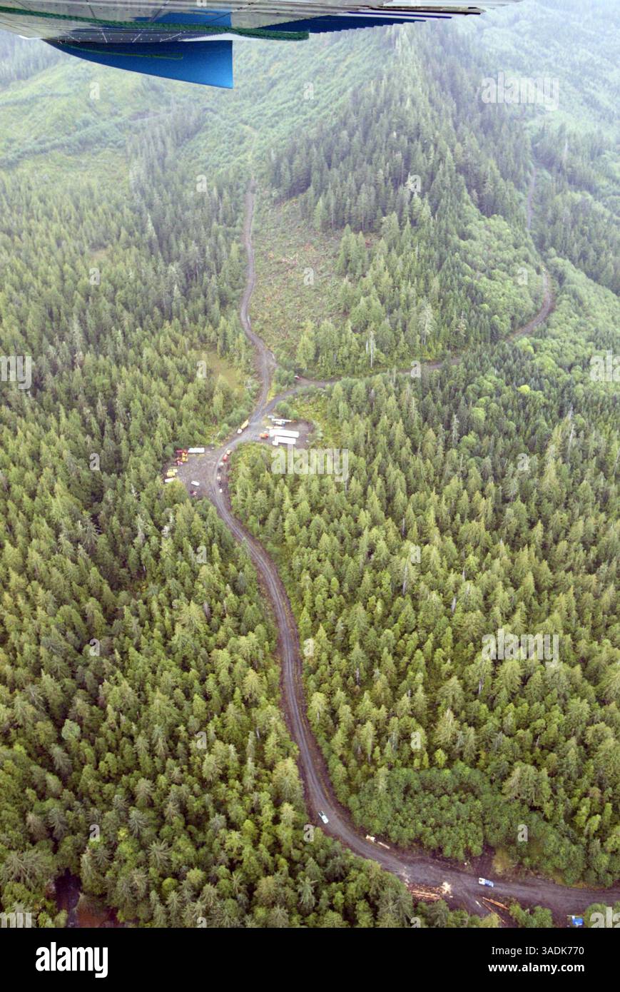 Sep 10, 2004; Tongass National Park, AK, USA; Logging in Tongass ...