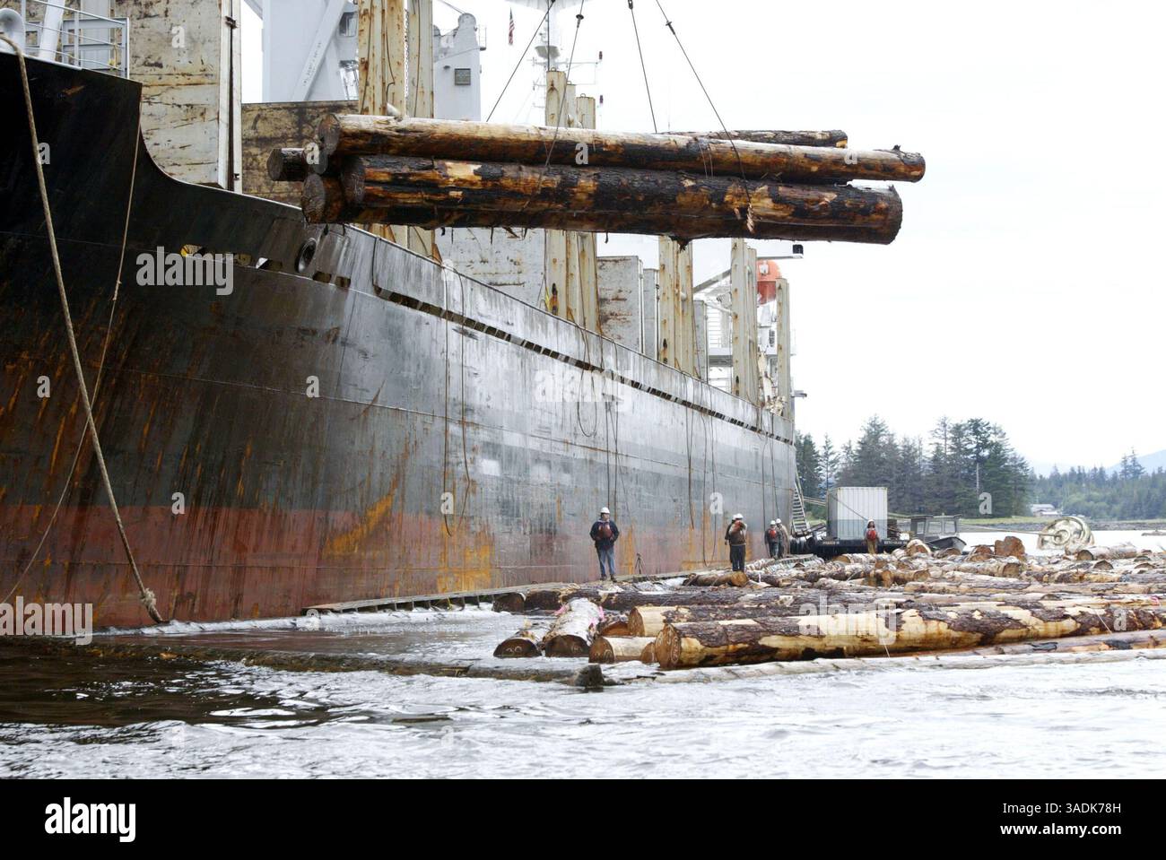 Sep 04, 2004; Tongass National Forest, AK, USA; Logging in Tongass ...