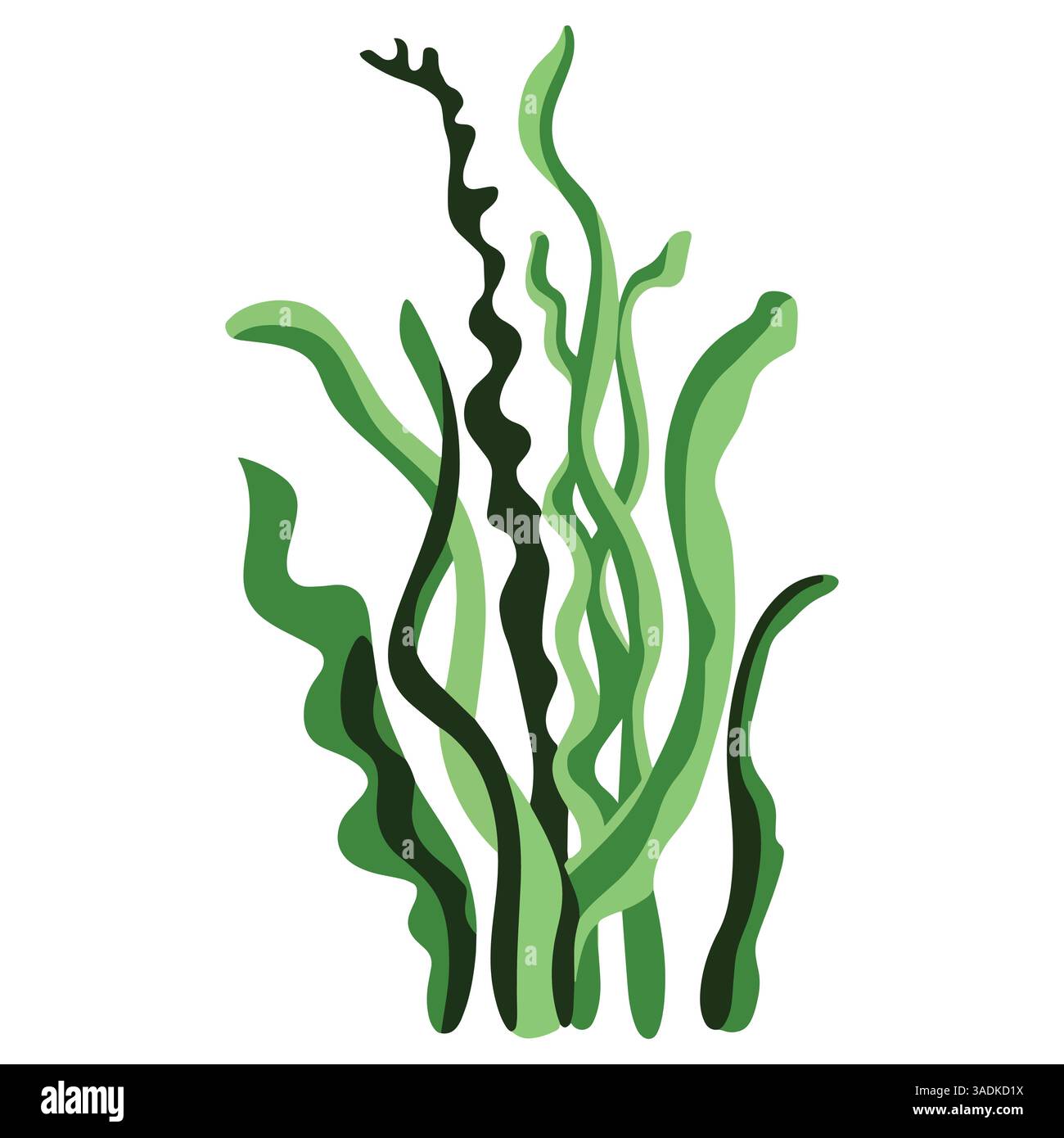 Underwater seaweed and aquatic marine algae plant. Perfect for marine life themes, ocean designs ...