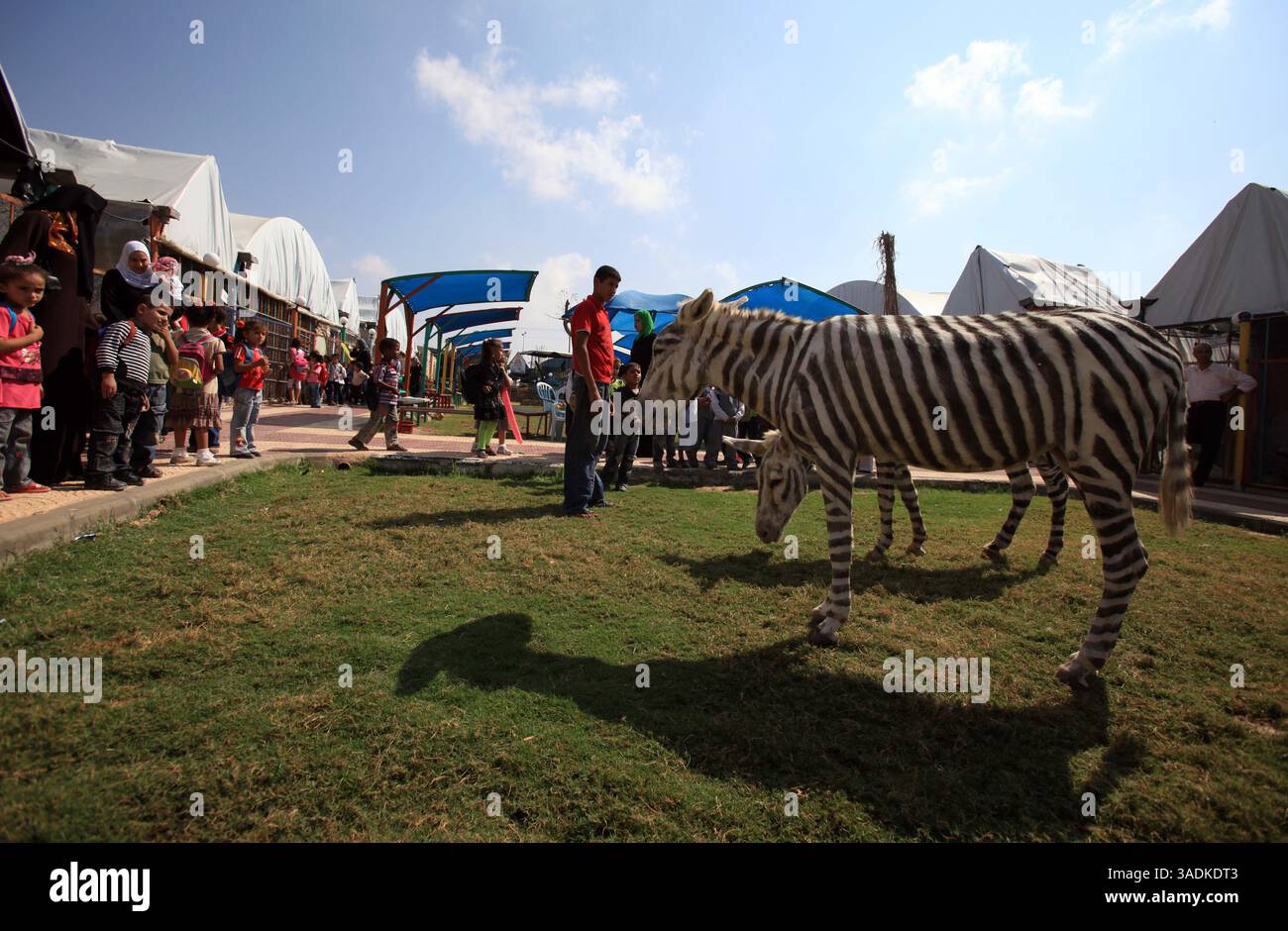 Oct 08, 2009 - Gaza City, Gaza Strip - Palestinian children look at ...