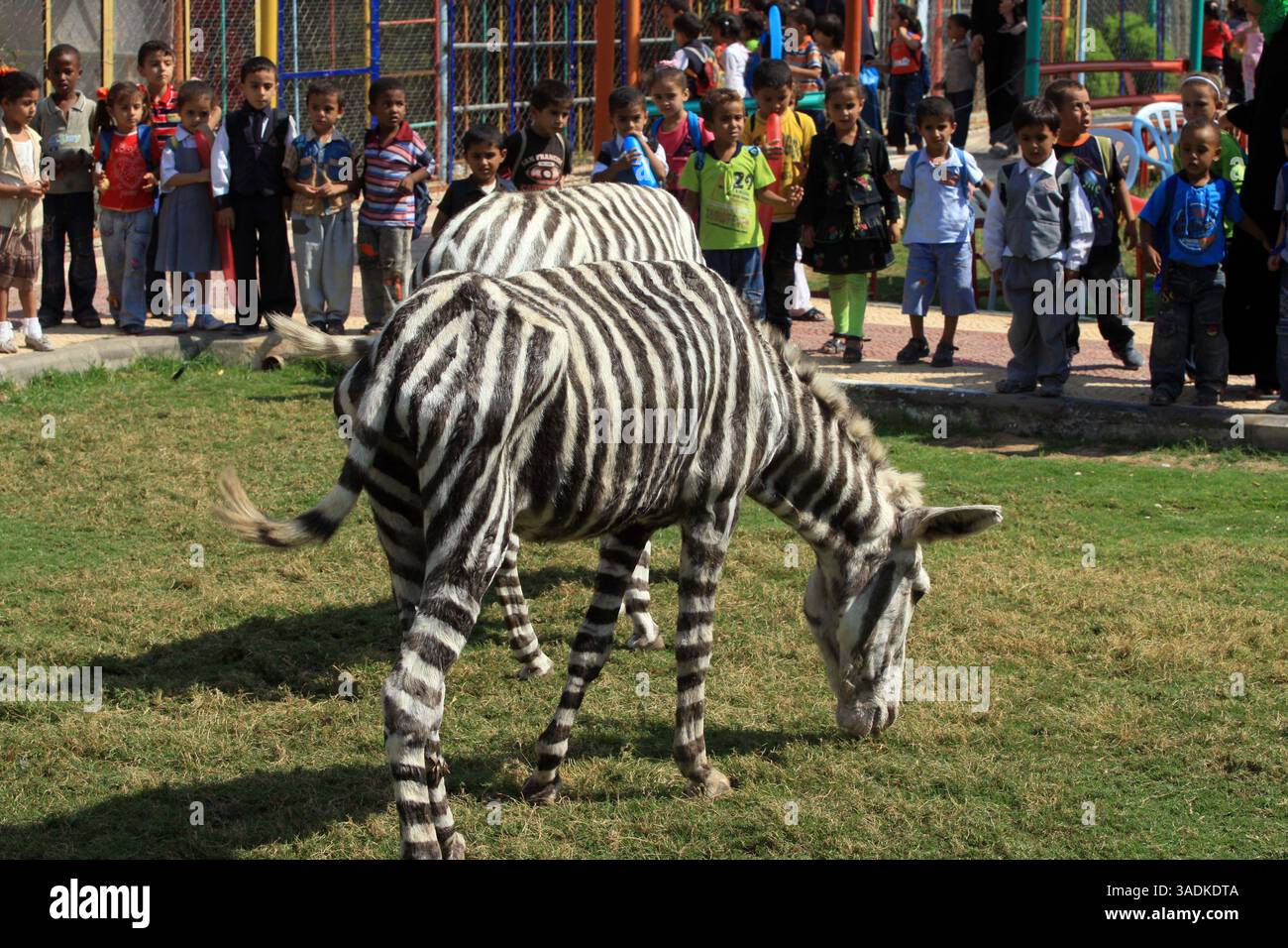 Oct 08, 2009 - Gaza City, Gaza Strip - Palestinian children look at ...