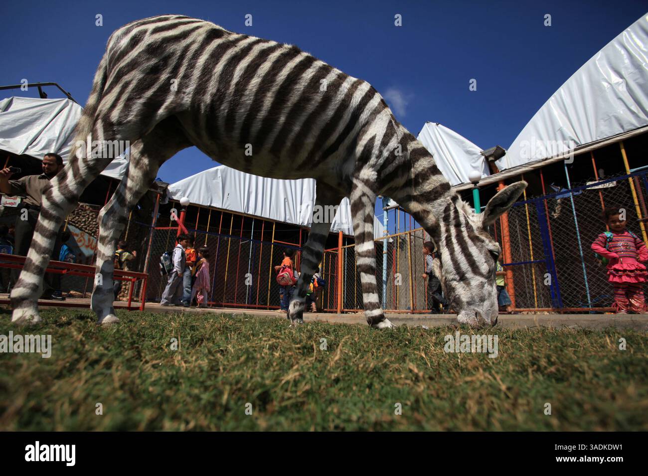 Oct 08, 2009 - Gaza City, Gaza Strip - Palestinian children look at ...