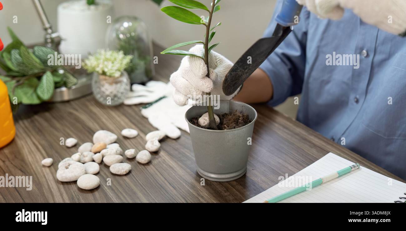 Gardening and Plant Care. A person carefully planting a young ...