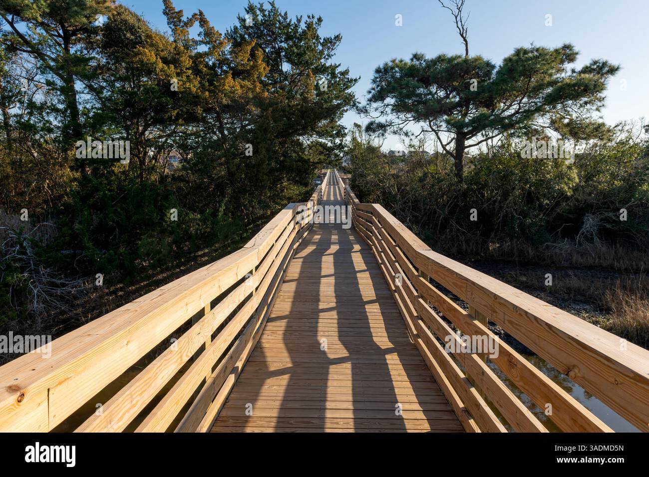 A long wooden footbridge stretches through coastal trees and marshland ...