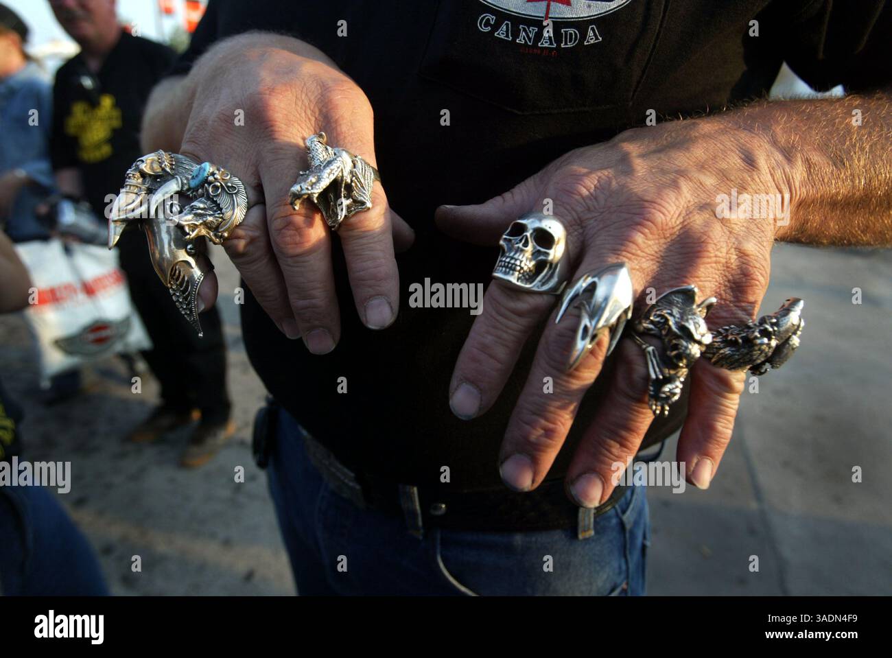 Harley-Davidson 100th anniversary party in Milwaukee. Classic rock acts ...