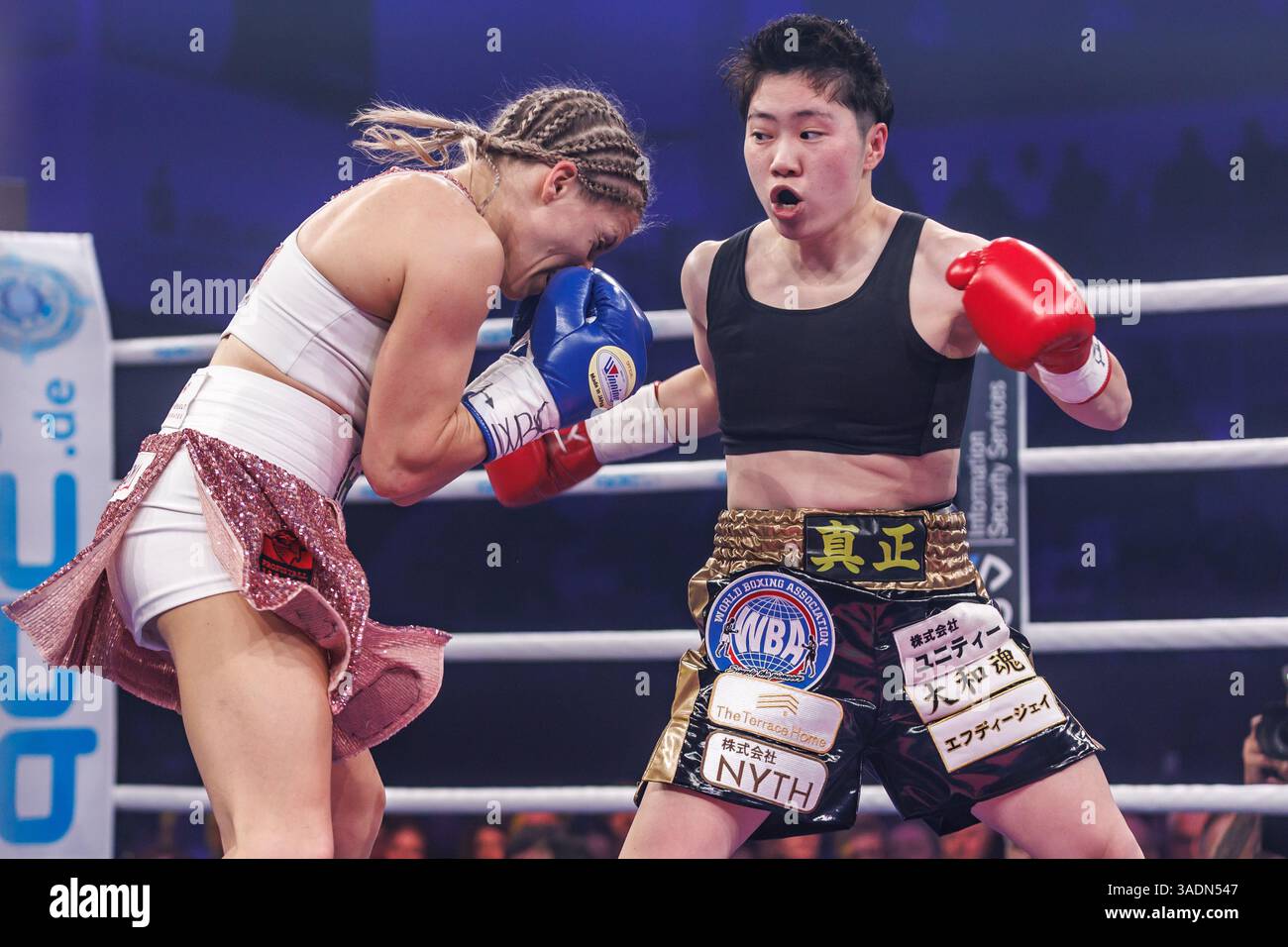 05 April 2025, Brandenburg, Potsdam: Boxing: WBC, WBA, WBO, IBF World Atomweight Championship ...