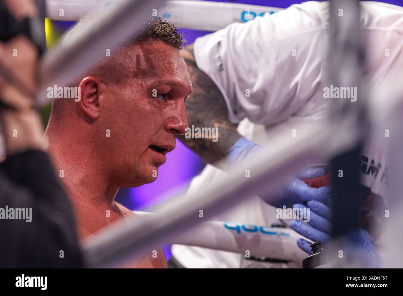 05 April 2025, Brandenburg, Potsdam: Boxing: WBO European Light ...