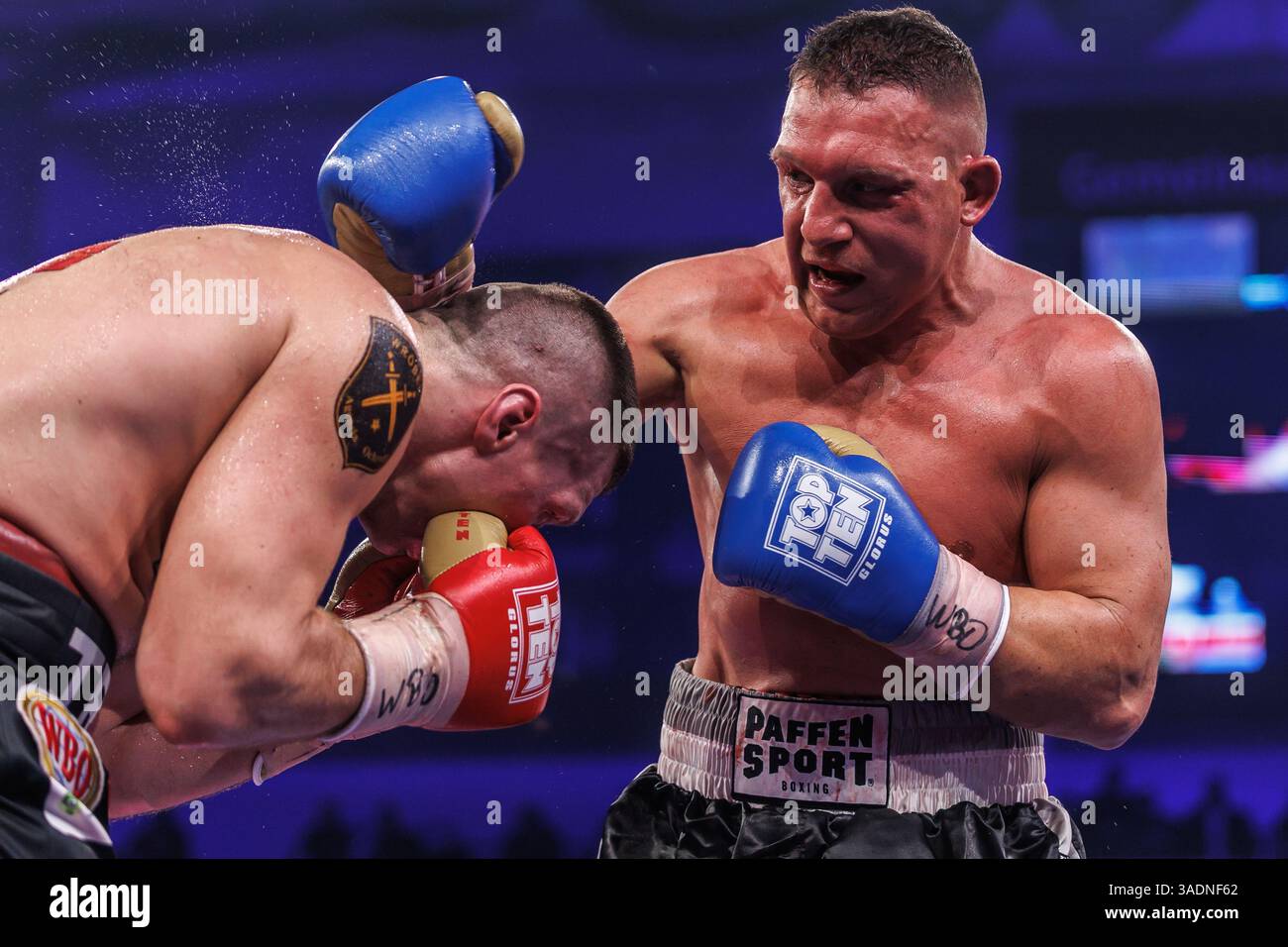 05 April 2025, Brandenburg, Potsdam: Boxing: WBO European Light ...