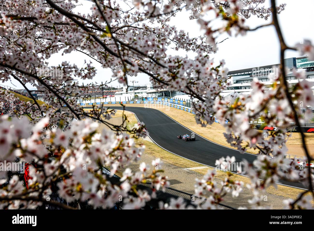 10 GASLY Pierre (fra), Alpine F1 Team A525, action during the Formula 1 ...