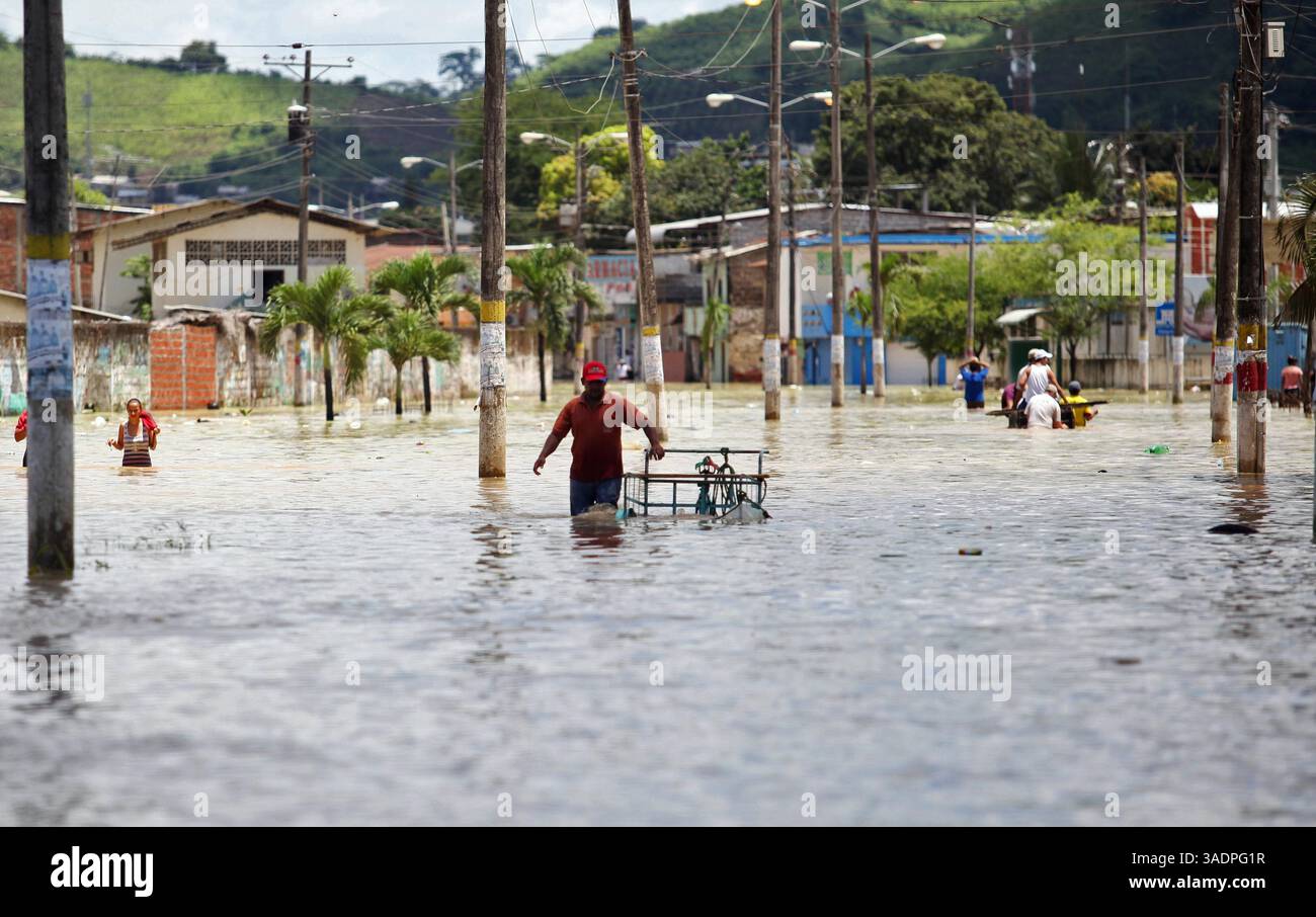 Fotos de naranjos hi-res stock photography and images - Alamy