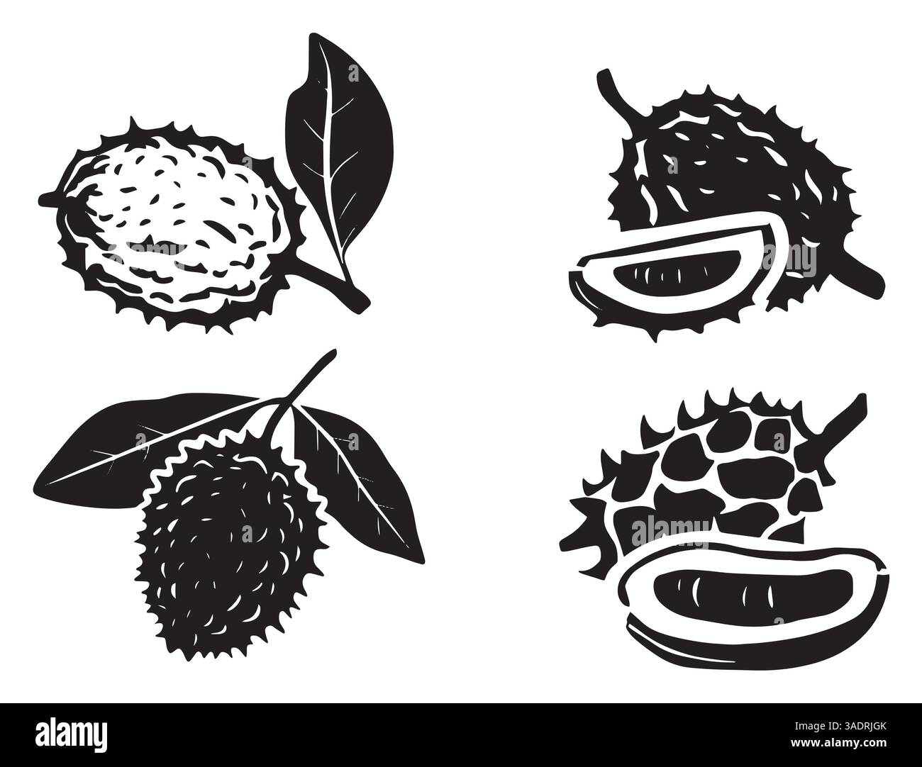 Vector black durian icons silhouette set on a white background. Perfect ...