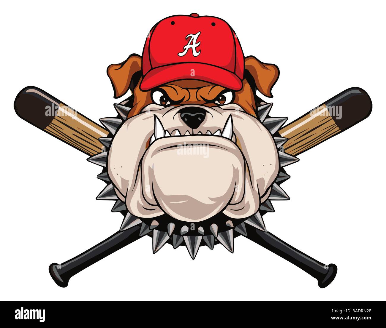 Fierce bulldog wearing a baseball cap, on a white background. Vector ...
