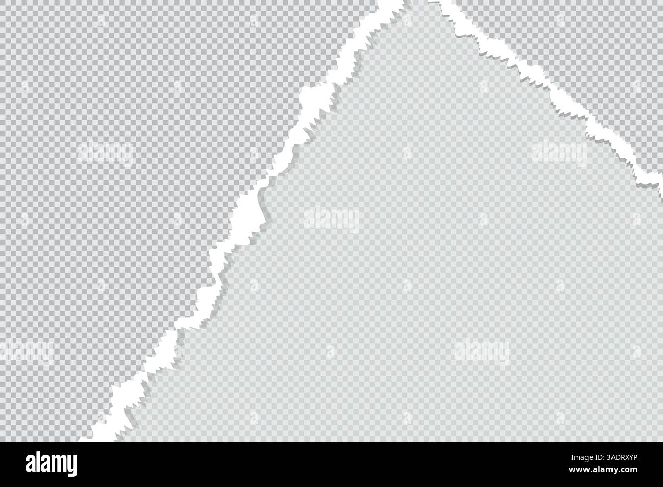 Ripped Torn paper sheet edge on Blank background with curled page Stock ...