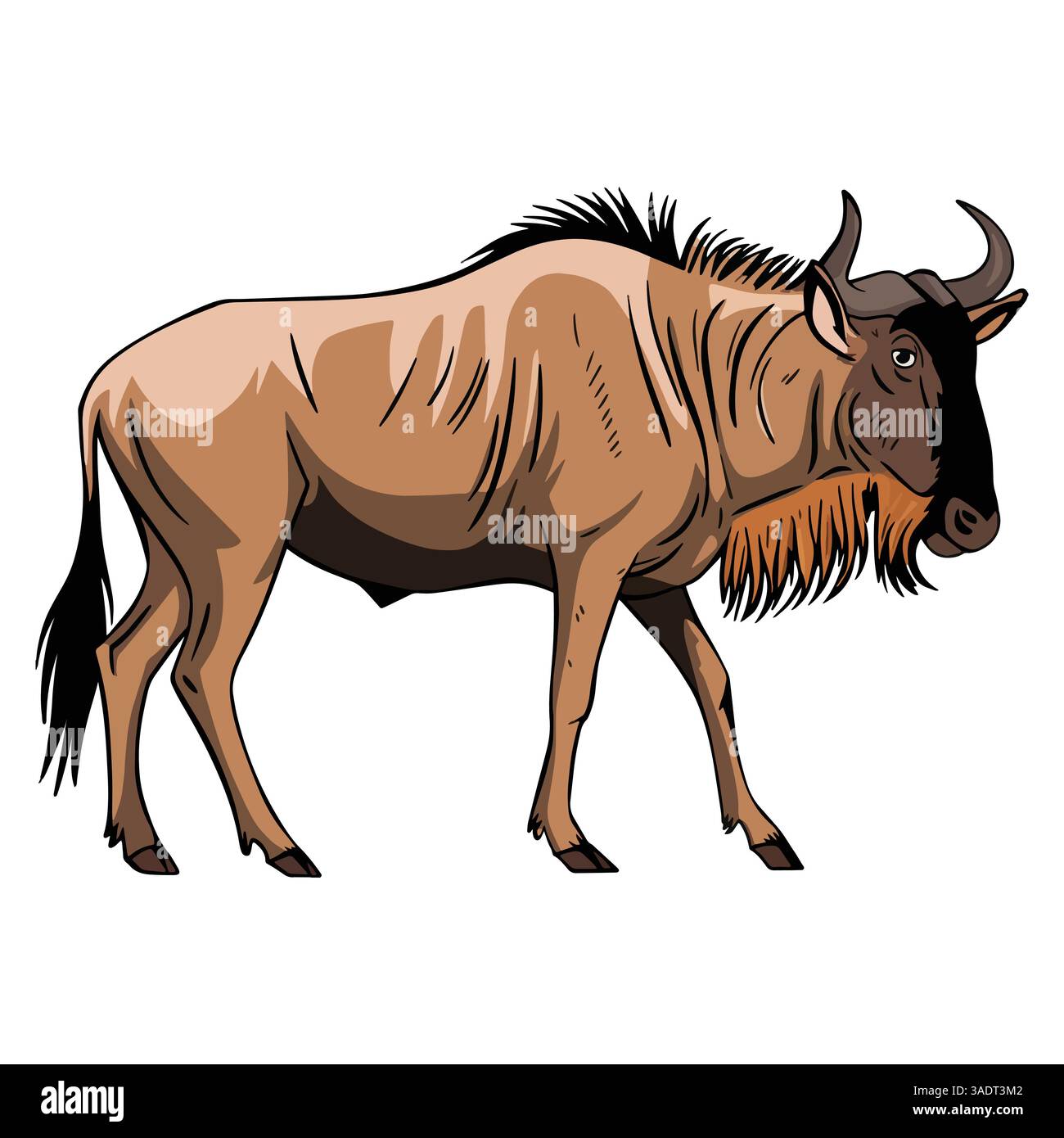 Wildebeest standing, African wildlife animal. Vector illustration of a ...