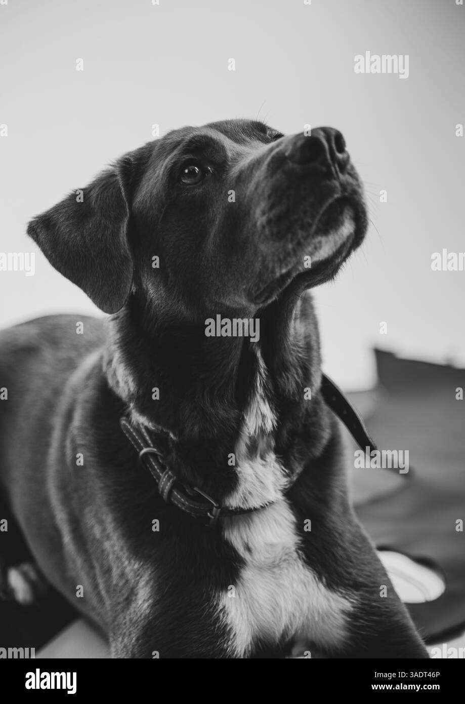 Real products Black and White Stock Photos & Images - Alamy
