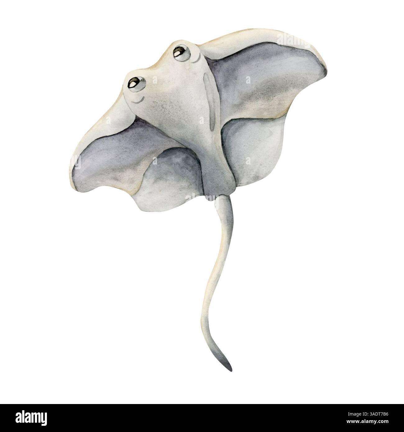 Cute Stingray. Sea marine animal. Ocean inhabitant. Adorable underwater ...
