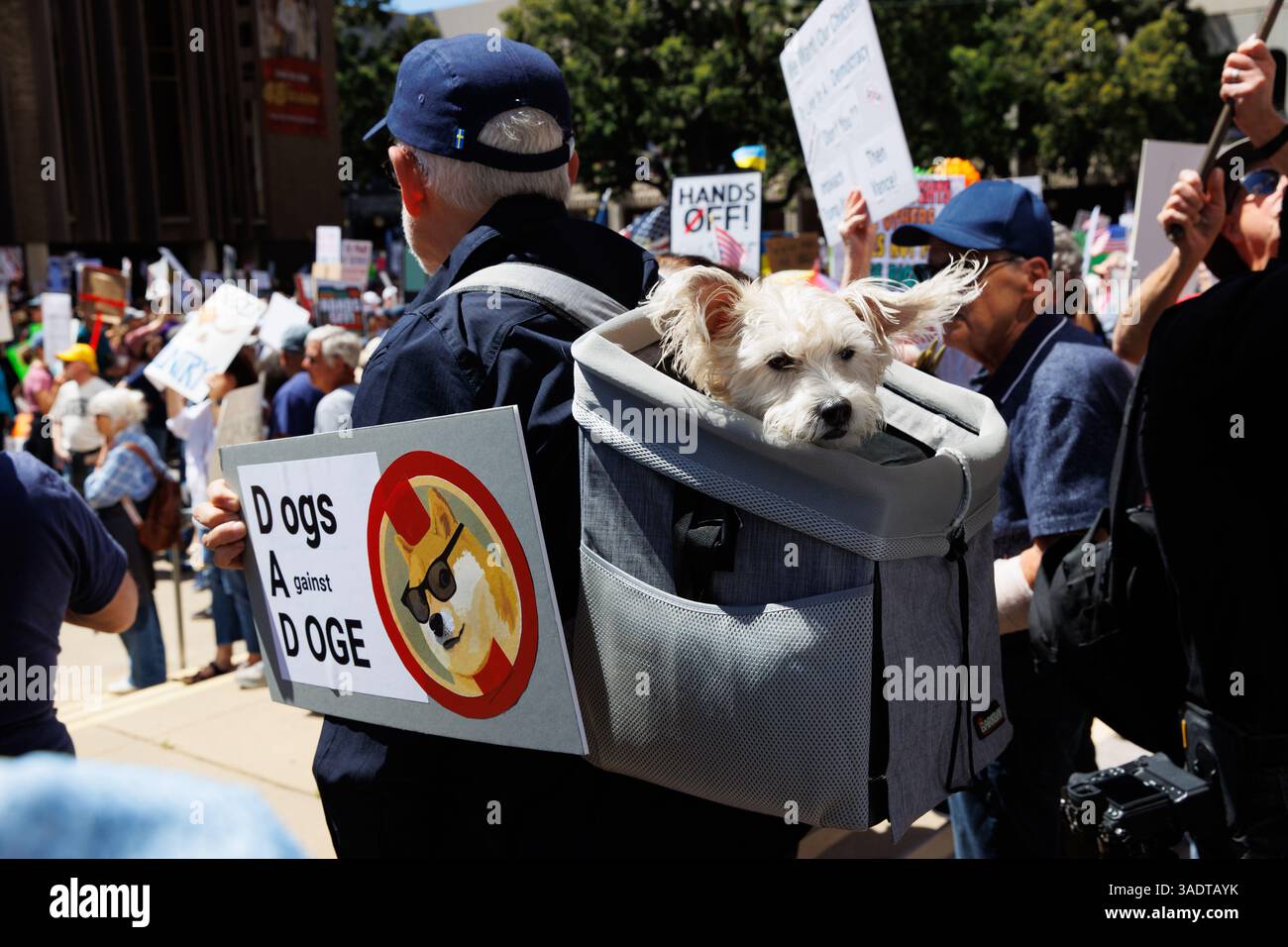 SAN DIEGO, CA, USA. April 5, 2025. A man with a dog protests Elon Musk ...