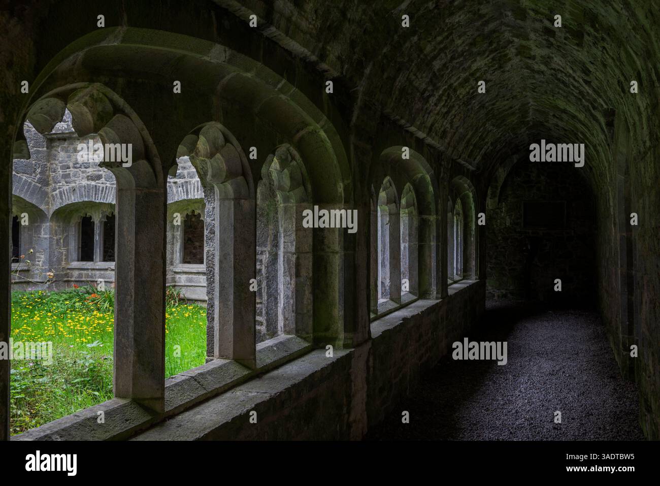 An arched stone cloister with columns creating a covered walkway around ...