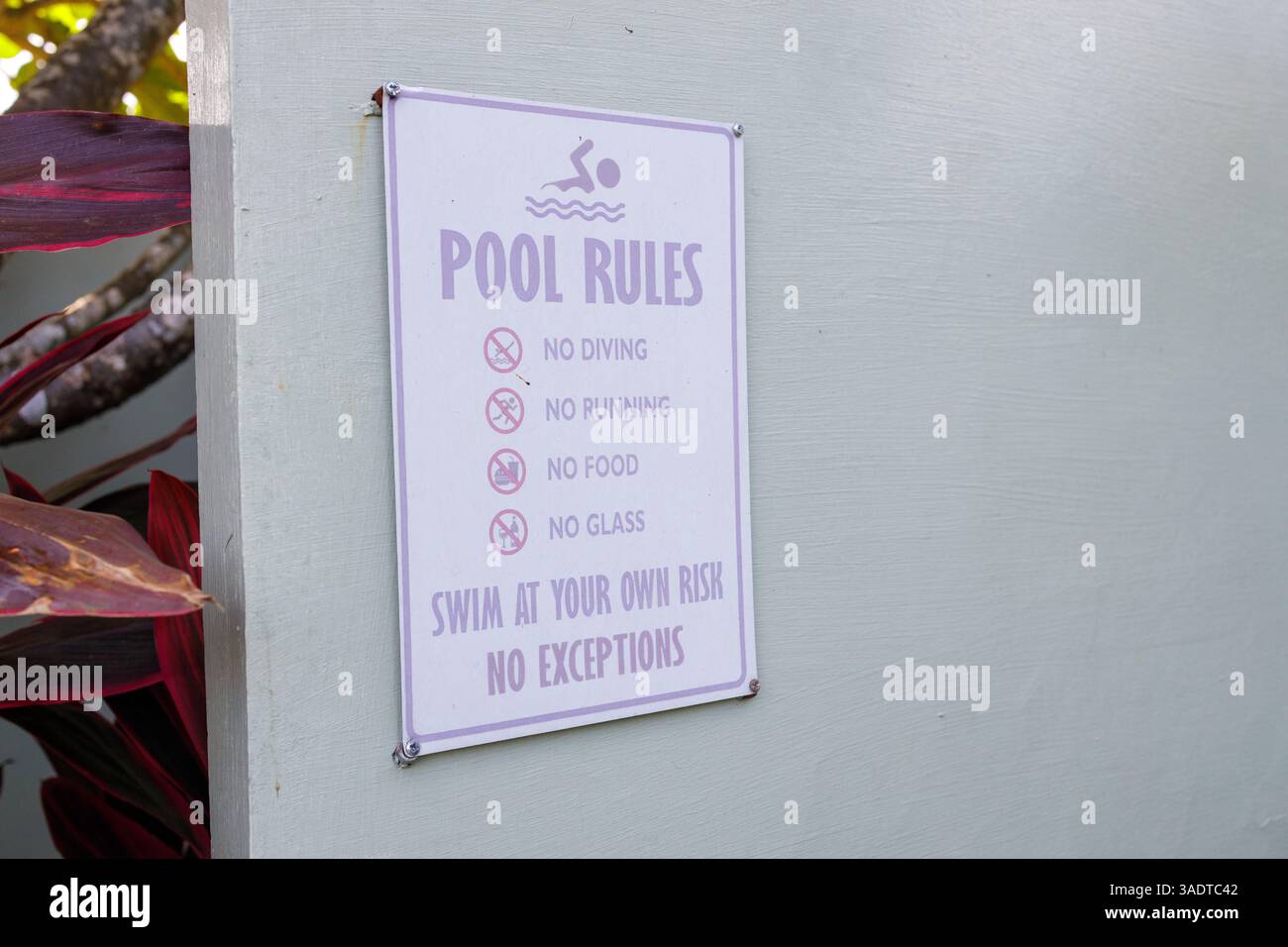 White pool rules sign mounted on a light-colored wall with purple ...