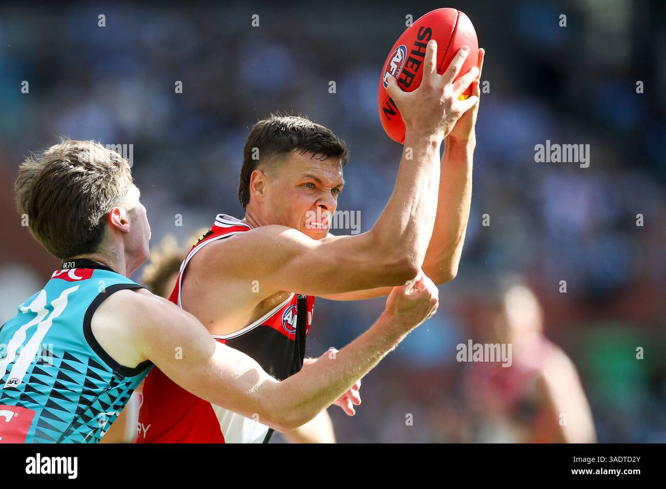 Adelaide, Australia. 06th Apr, 2025. Marcus Windhager of the Saints is ...