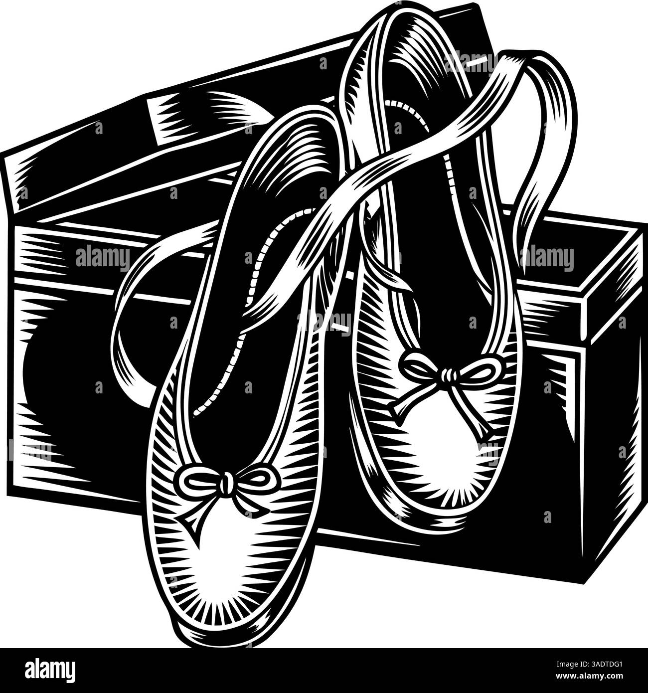 A pair of ballet shoes with elegant ribbons sits atop a stylish shoe ...