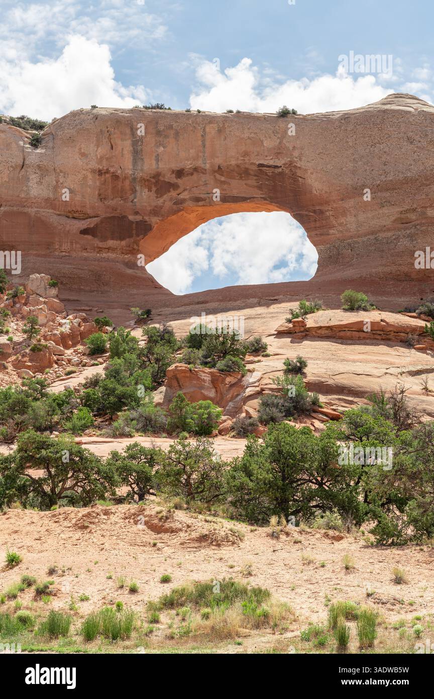 Joe wilson arch hi-res stock photography and images - Alamy
