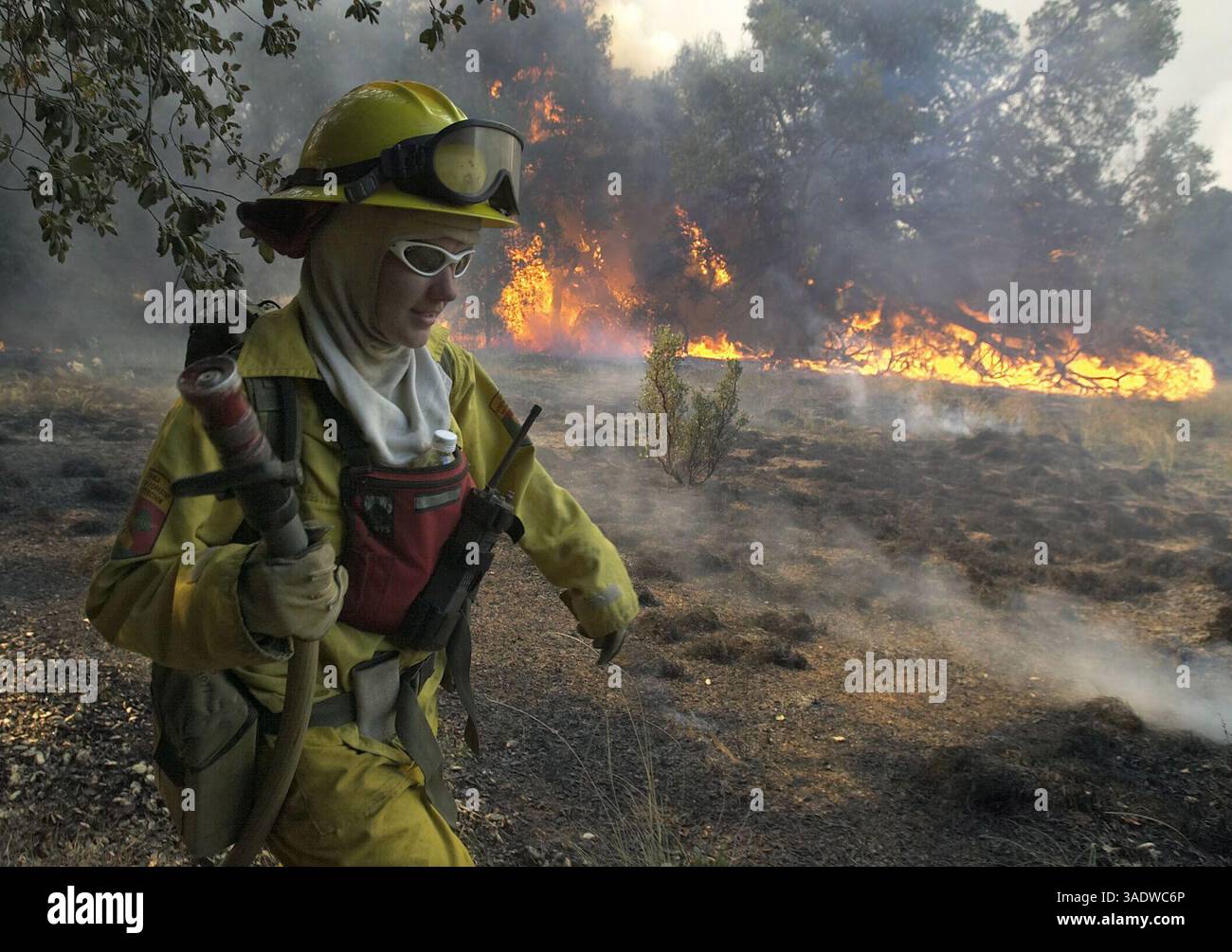 Oct 27, 2003; Descanso, CA, USA; CALIFORNIA WILDFIRES. The largest ...
