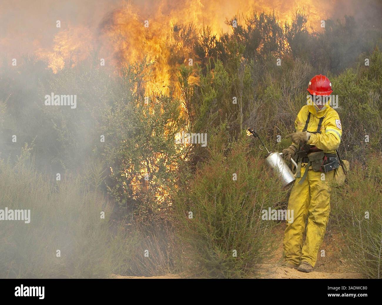 Oct 27, 2003; Descanso, CA, USA; CALIFORNIA WILDFIRES. The largest ...