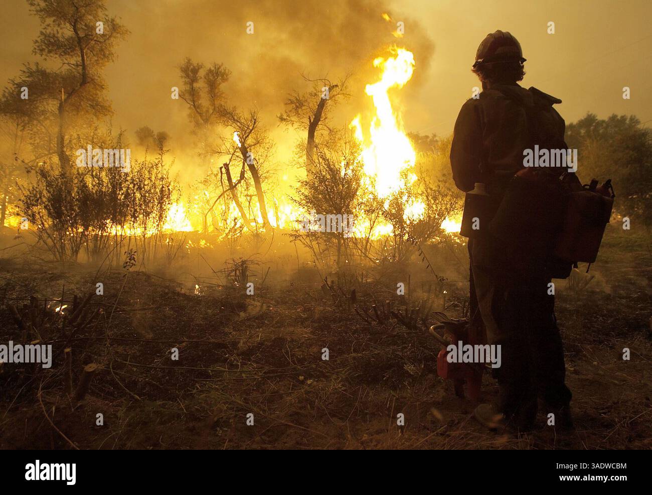 Oct 28, 2003; Descanso, CA, USA; CALIFORNIA WILDFIRES. The largest ...
