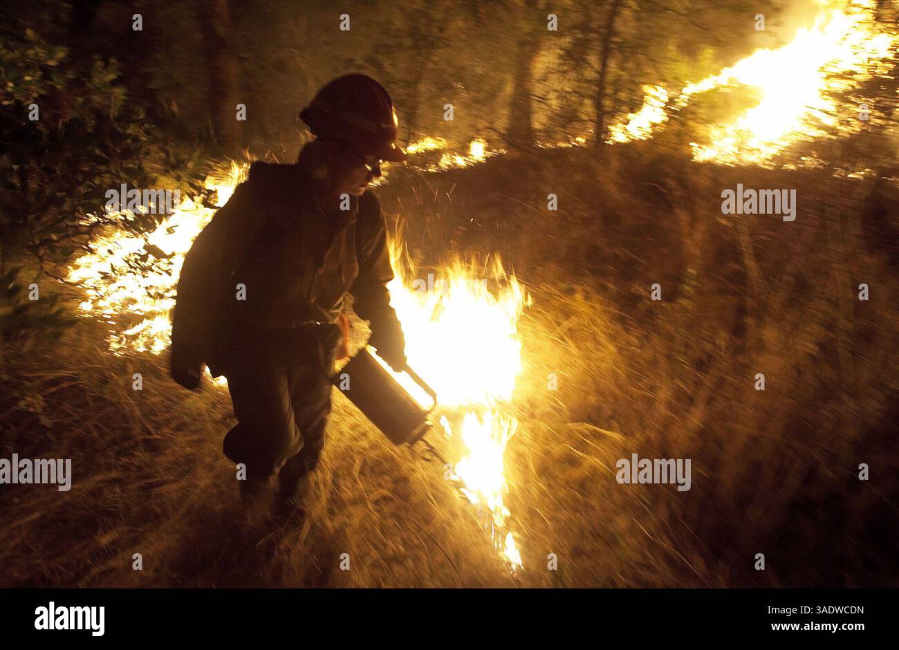 Oct 28, 2003; Descanso, CA, USA; CALIFORNIA WILDFIRES. The largest ...