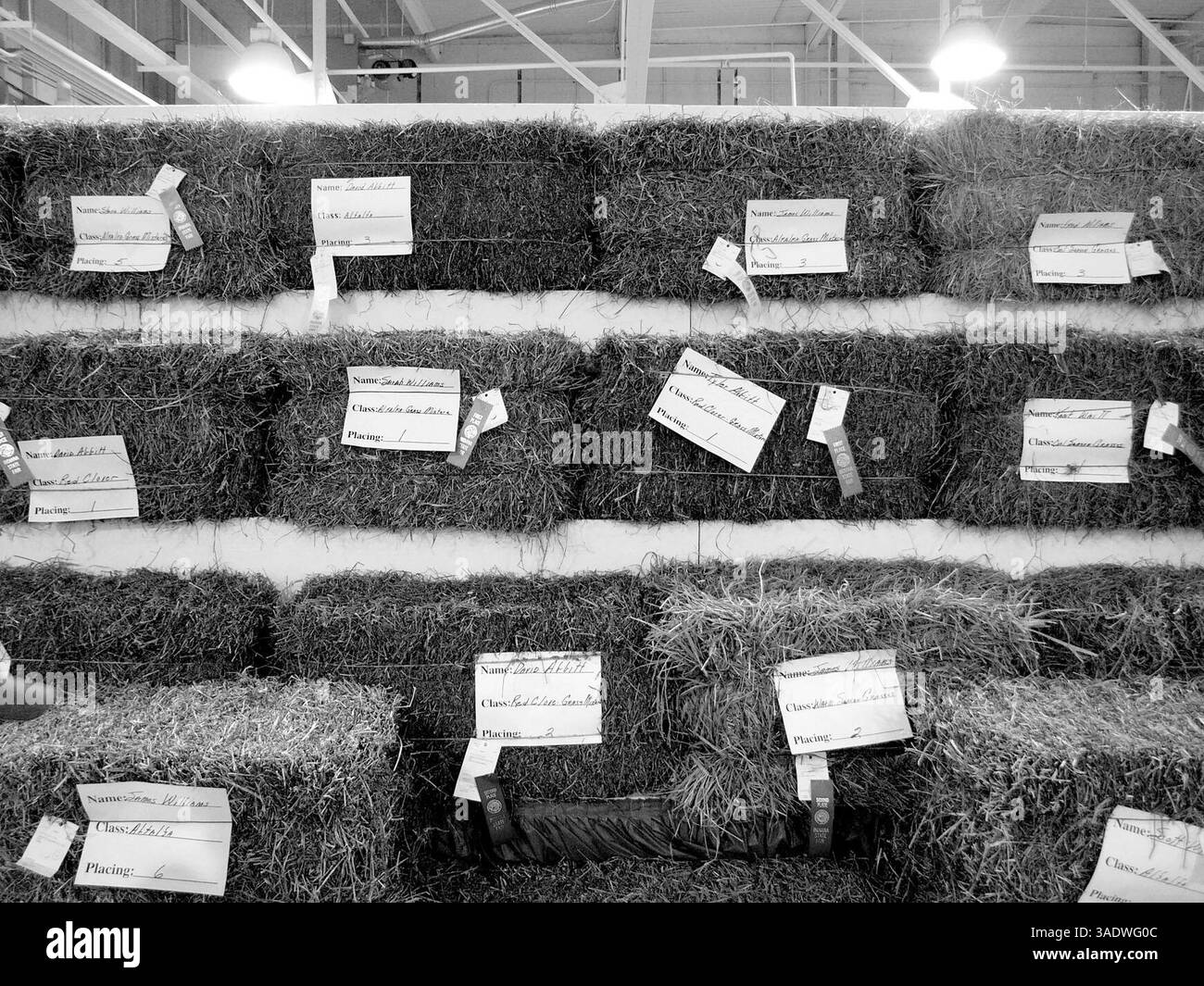 Jan 01, 2004; Indianapolis, IN, USA; Winning bales of hay with prize ...