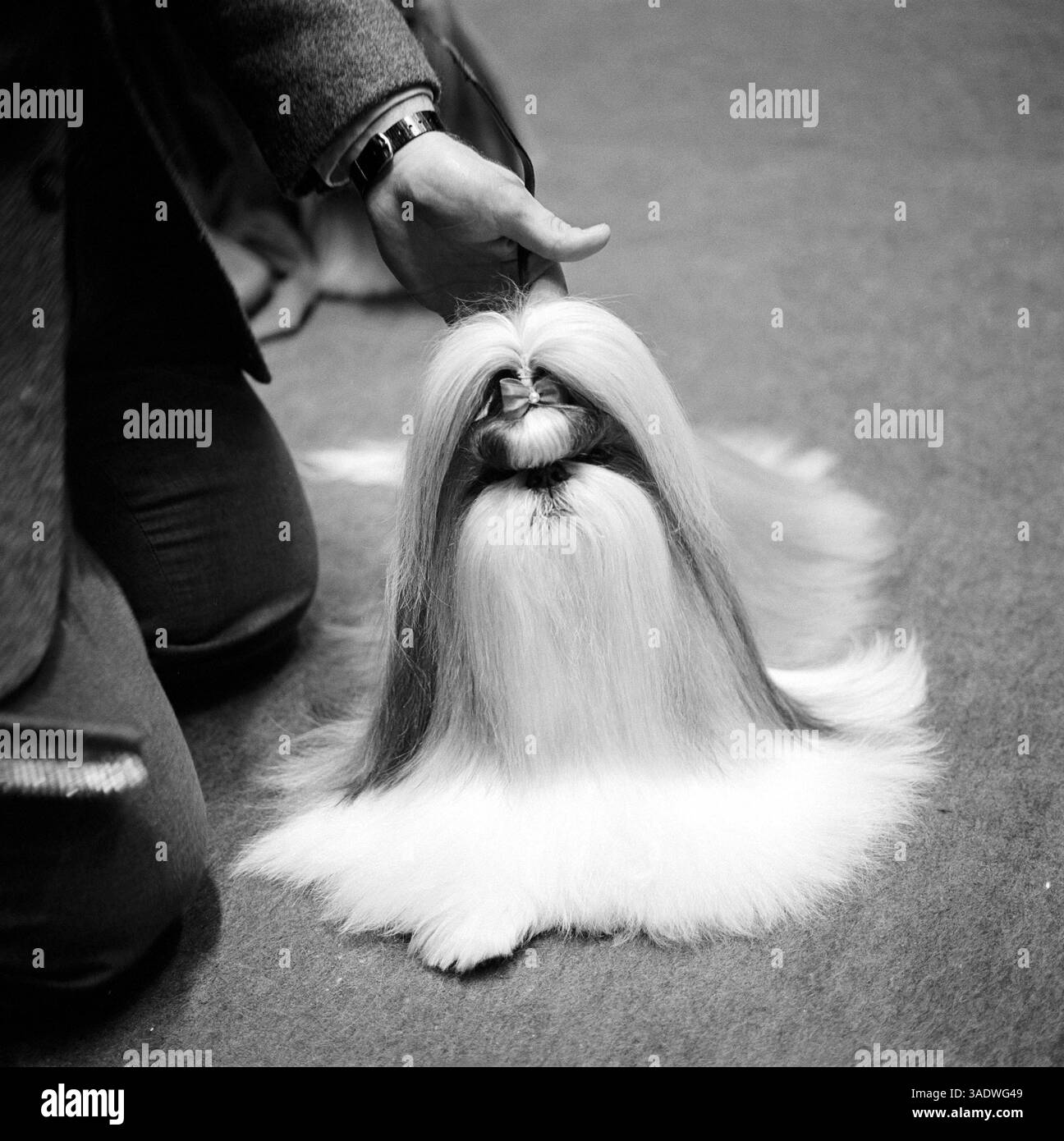 New york ny usa 28 Black and White Stock Photos & Images - Alamy