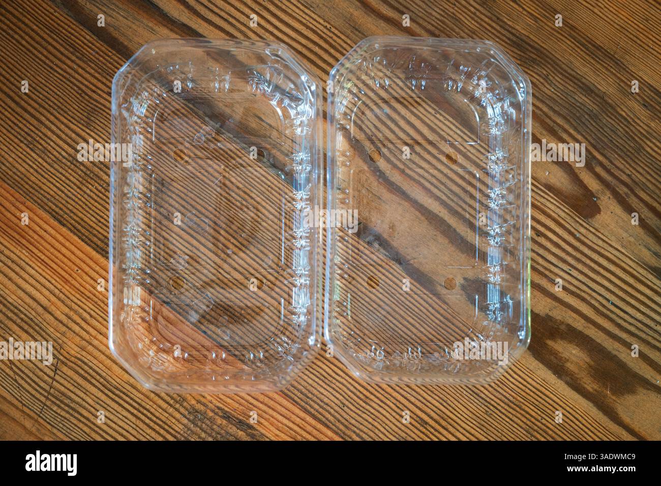 using store bought vegetable containers as pots for planting seeds for ...