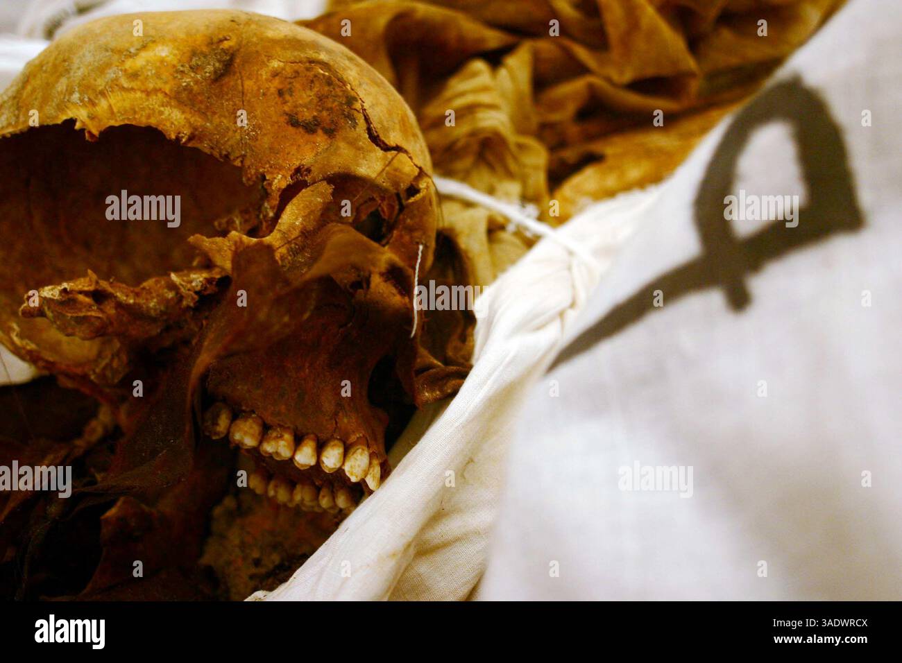 Dec 30, 2006 - Baghdad - IRAQ - Saddam Hussein was executed by hanging ...