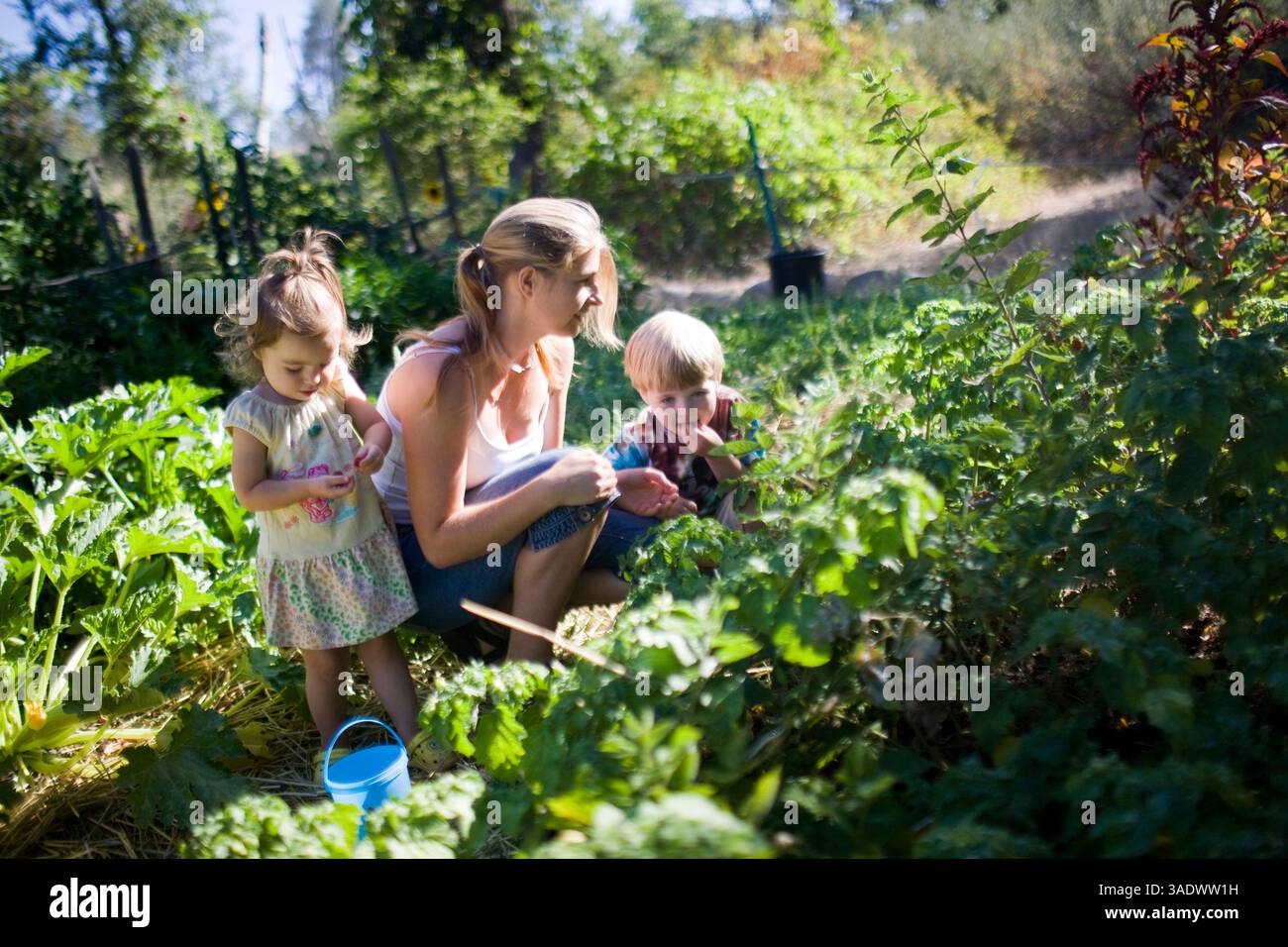 Cleo Lane, 28, middle, and her daughter Lilly Bailey, 2, left, and Will ...