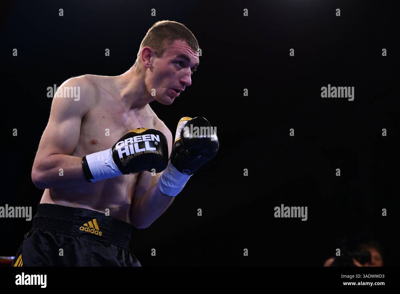 Giordano Giansanti vs Luka Veljovic on March 28th 2024 at Magicland in ...