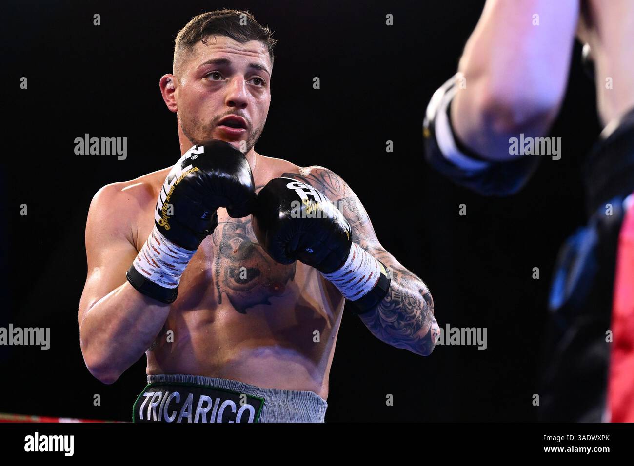 Marco Tricarico vs Kevin Coccia on March 28th 2024 at Magicland in ...