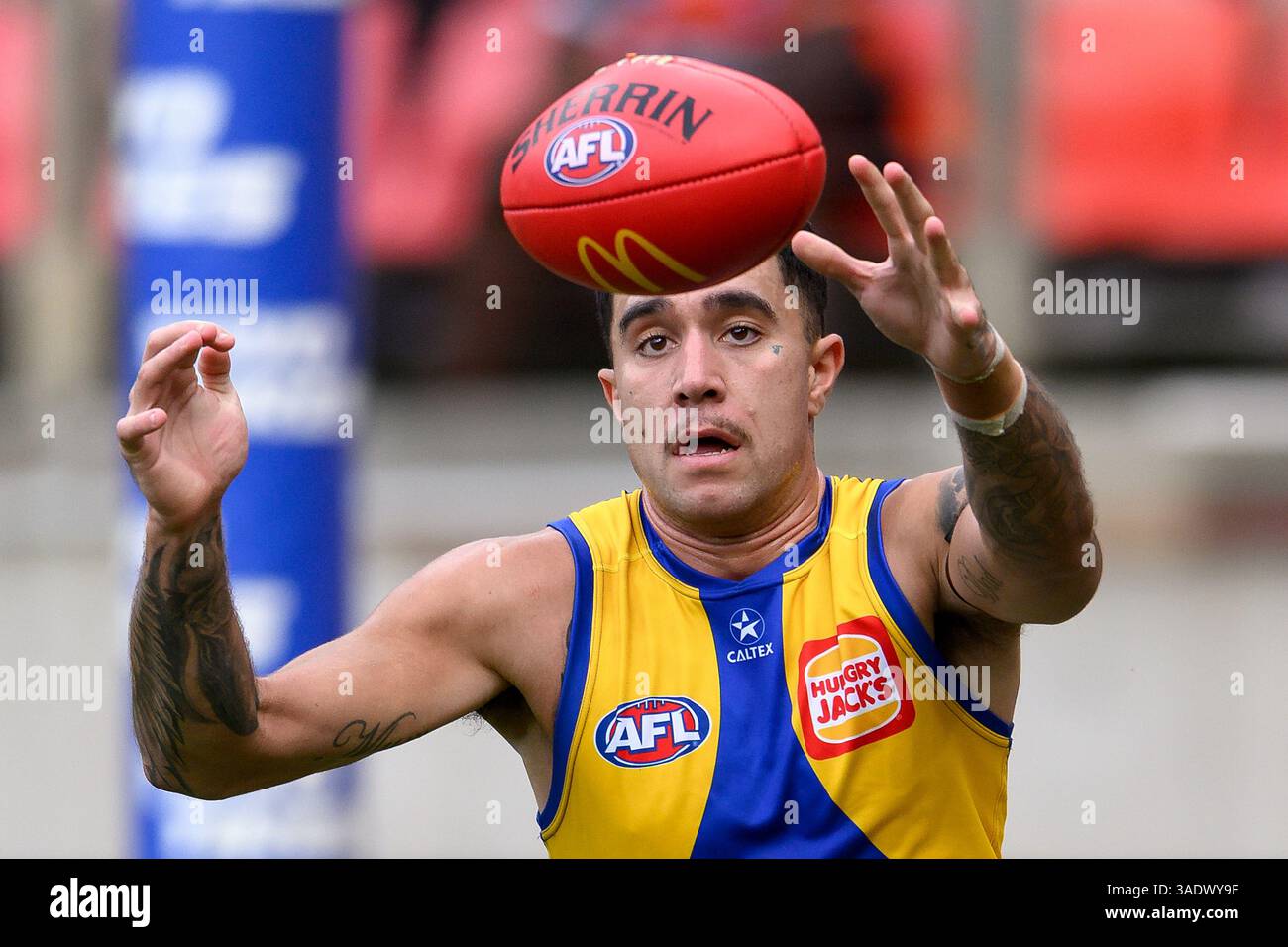 Tyler Brockman of the Eagles catches the ball during the AFL Round 4 ...