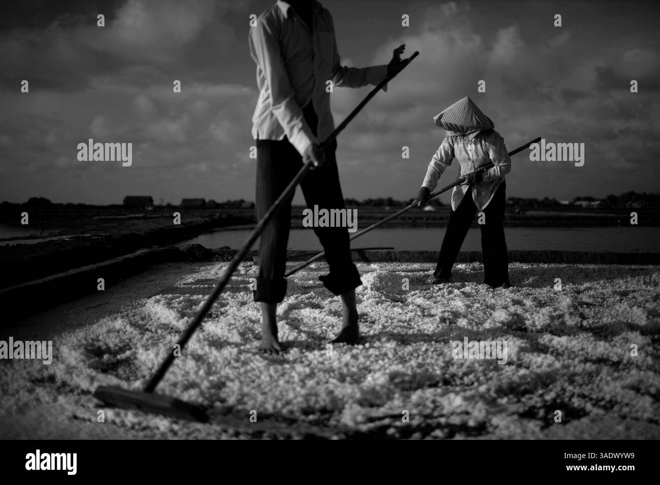 Mar 21, 2008 - Ben Tre, Vietnam - Farmers harvest salt cultivated in ...