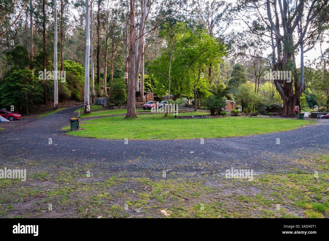 Camping plot, campsite, Tarra Valley Retreat, tarra Valley, Australia ...
