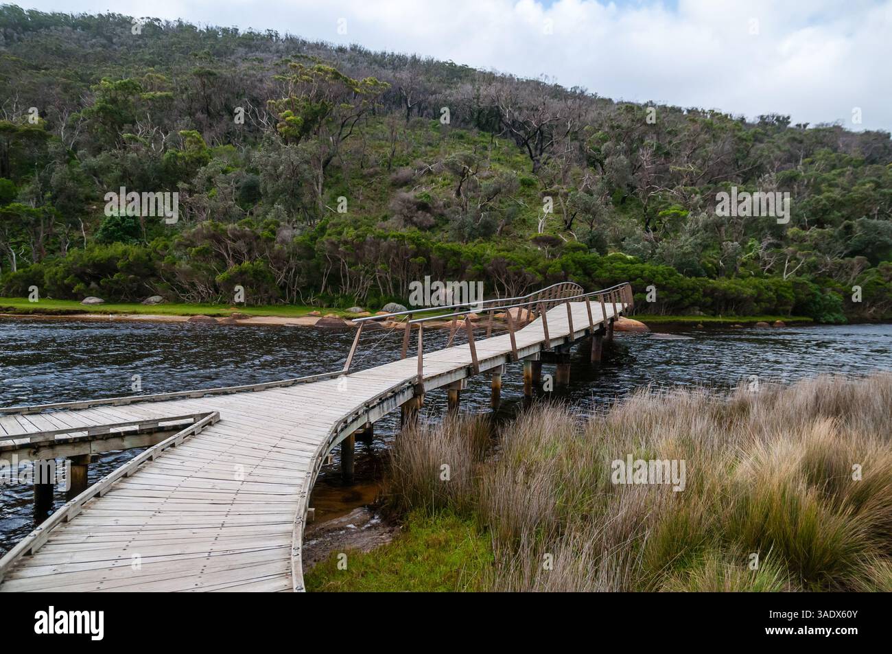 Wooden bridge crossing over river in forest, Foot bridge, Tidal River ...