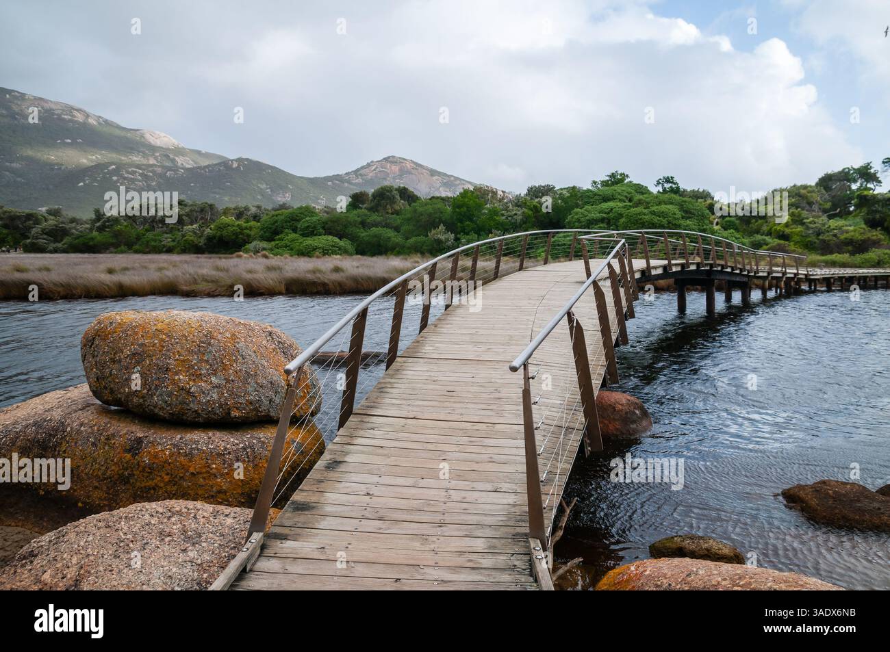 Wooden bridge crossing over river in forest, Foot bridge, Tidal River ...